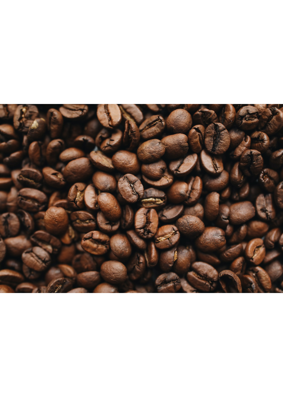 Discover the Best Dark Roast Coffee: Our Top Picks Reviewed