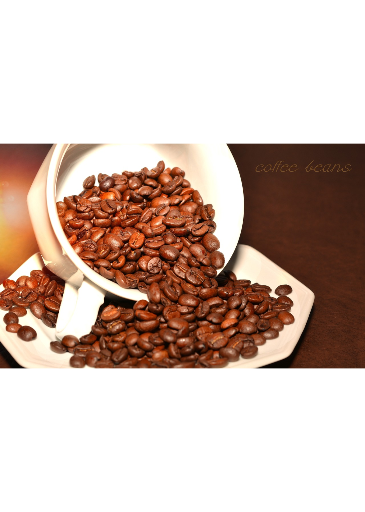 Sip and Savor: The 5 Best Light Roast Coffee Brands!