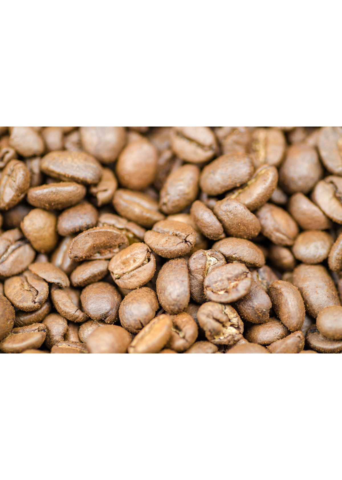 Brewing Perfection: Discover the 5 Best Medium Roast Coffees