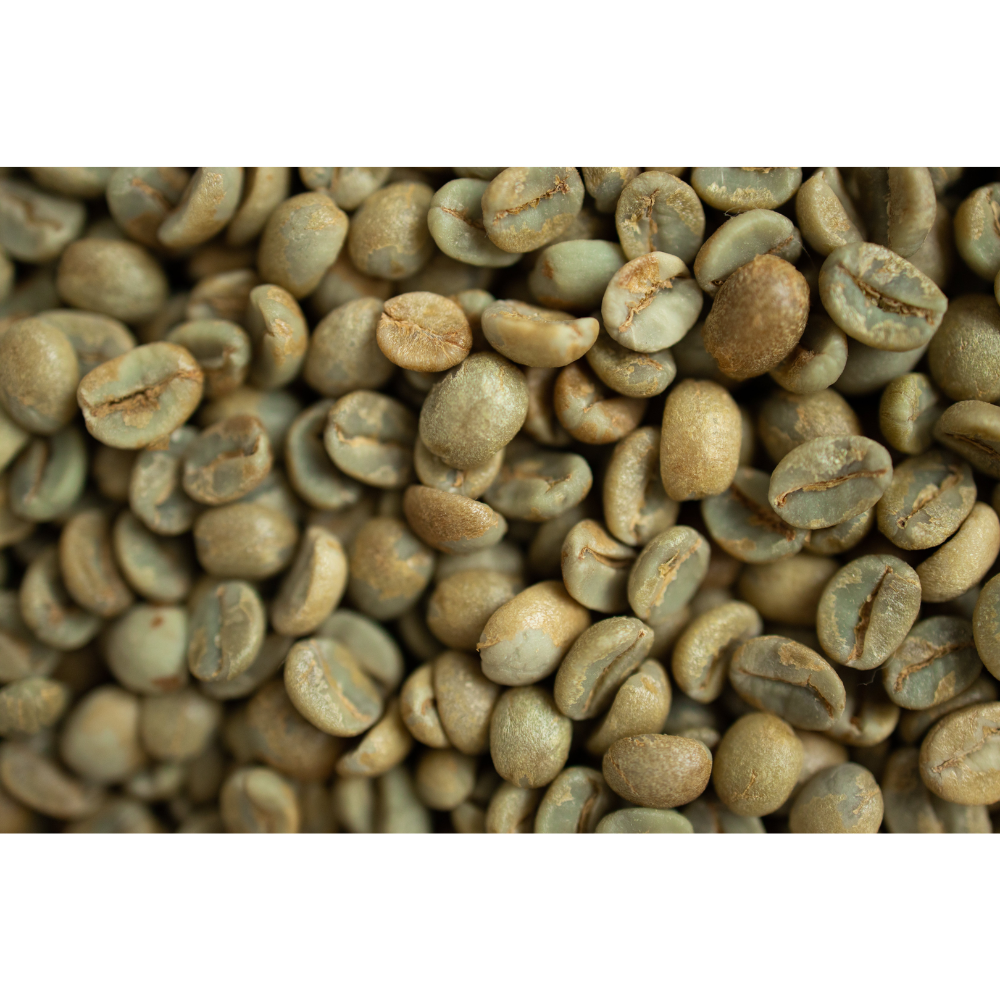 Sip Your Way to Health with our Top 5 Best Green Coffee pick