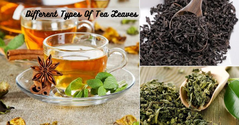 Different Types Of Tea Leaves