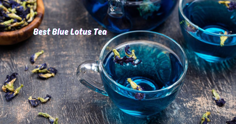 Discover the Secret to Relaxation with Blue Lotus Tea
