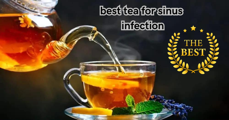 Sip your way to sinus relief: The top tea you need to try