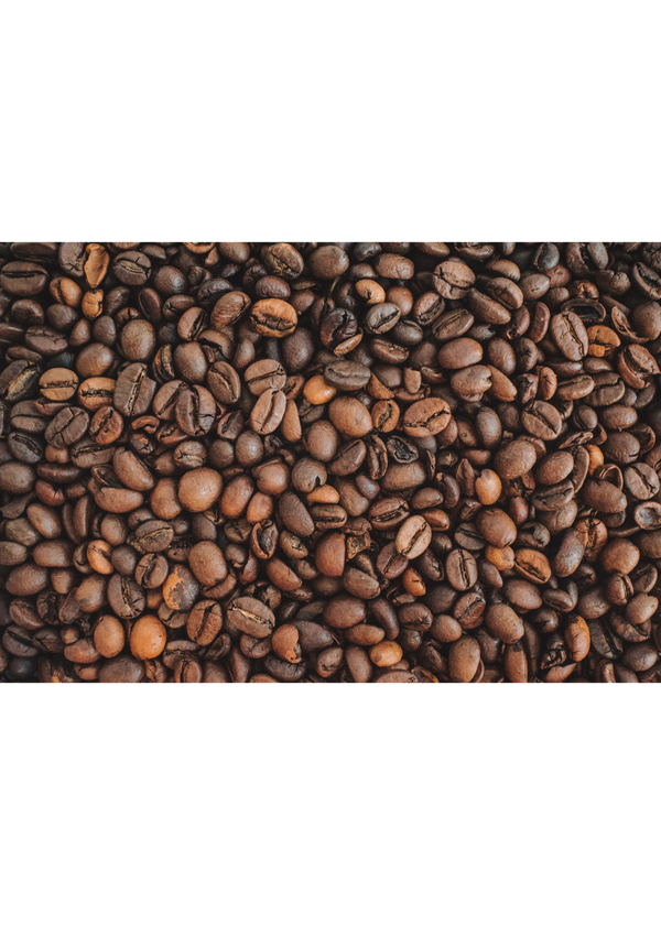 Bean There, Done That: The 5 Best Coffee Beans You Must Try!